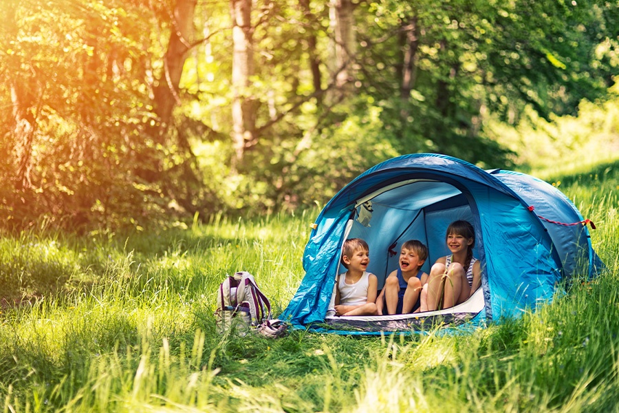 DDS Weekly Message - May 16, 2025