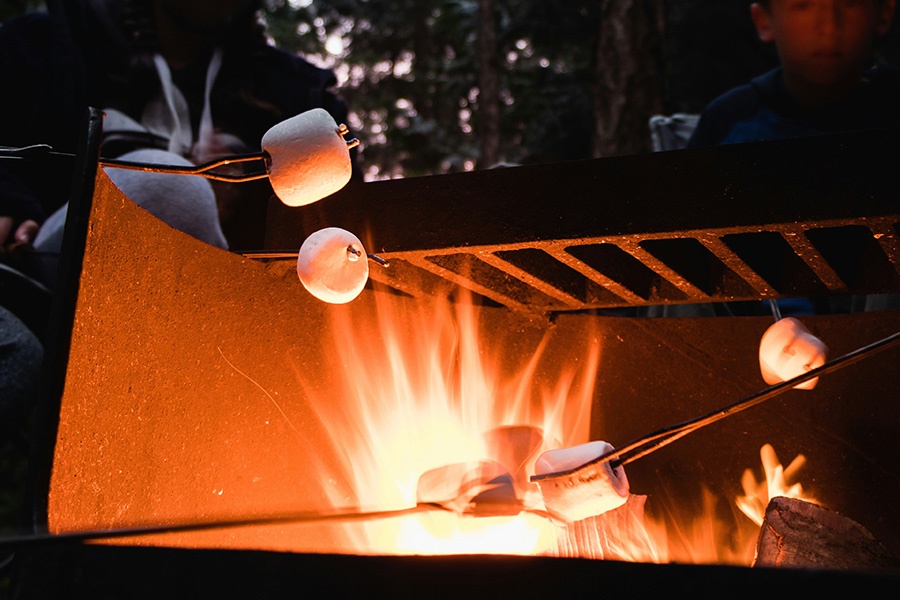 DDS Weekly Update May 9 2025